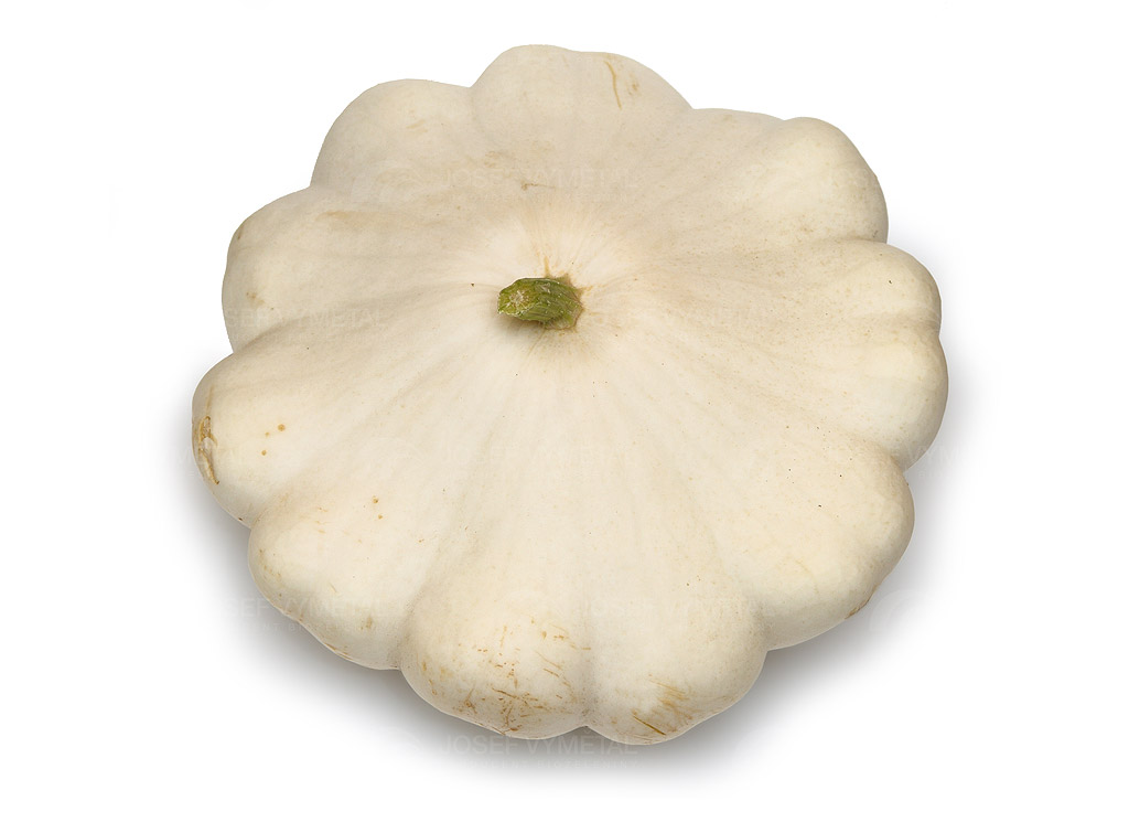 Bio patizon | Josef Vymětal