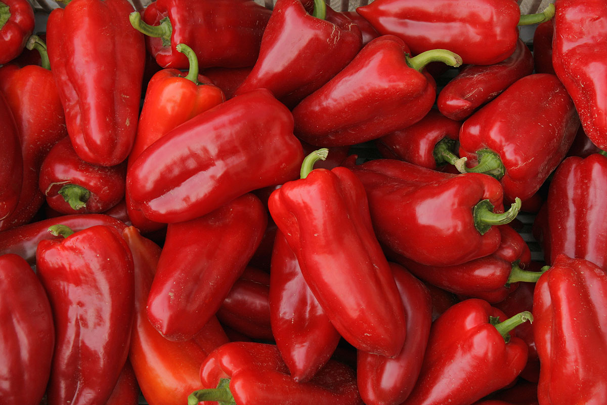 Bio paprika polní červená | Josef Vymětal